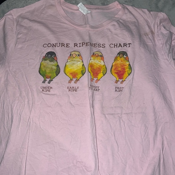 Tops | Xl Pink Conure Bird Shirt | Poshmark